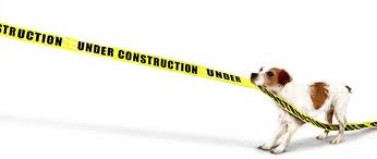 dog_underconstruction | Animal Medical & Surgical